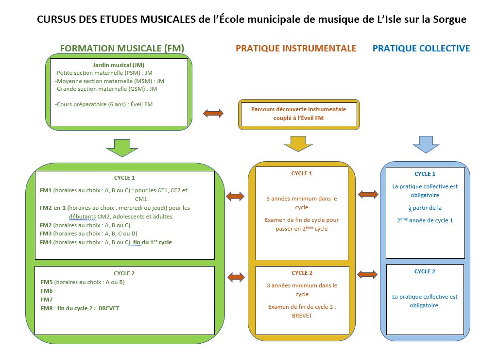 Cursus-des-études Cursus-des-études